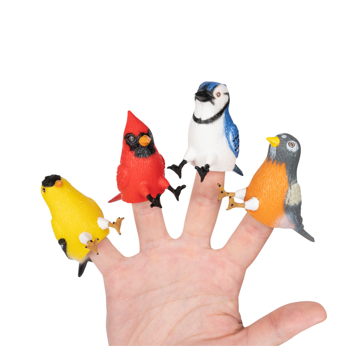 Finger Bird Feeder Birds Puppet Toy- Assorted – Urban General Store