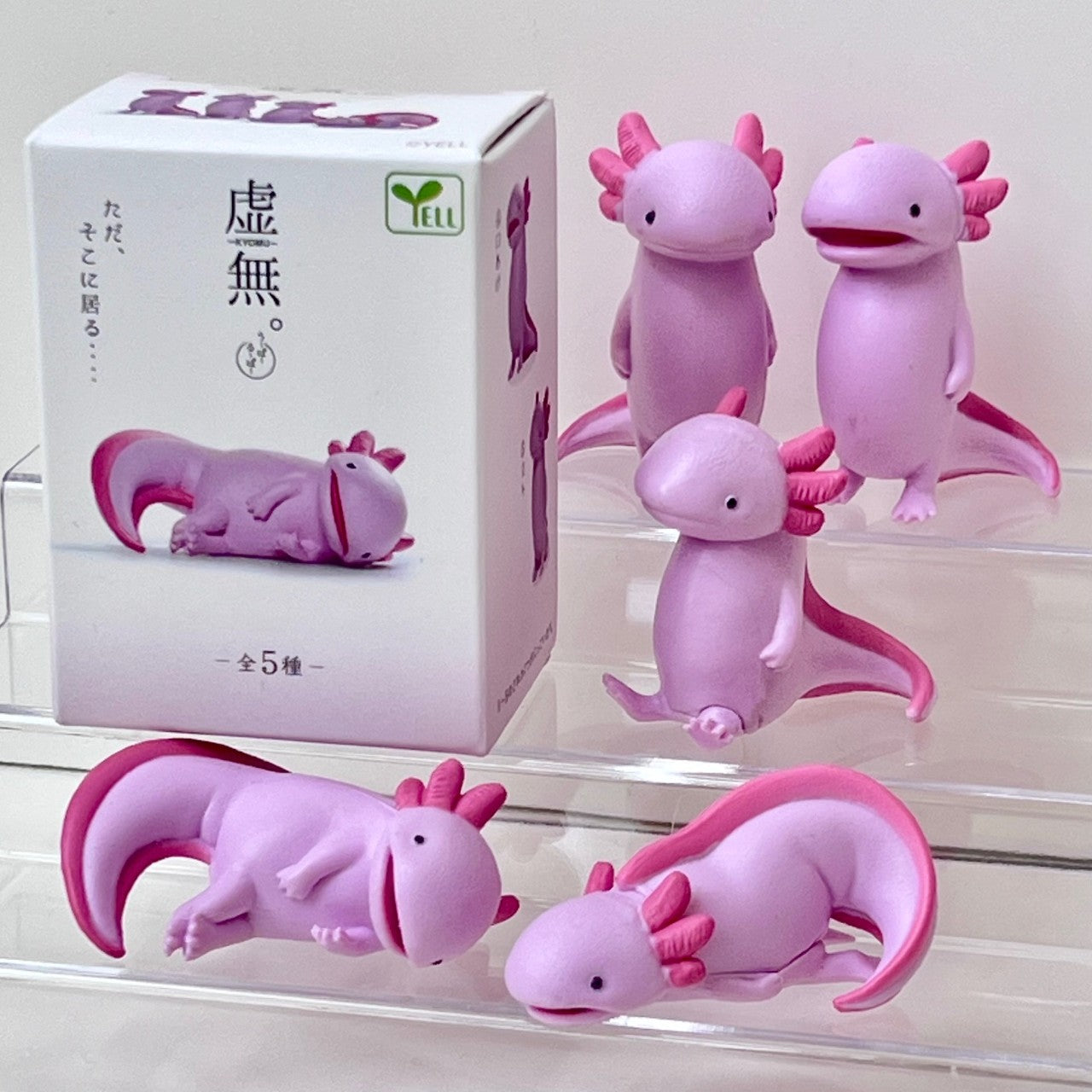 Axolotl Void Toy - Blind Box Toy – Urban General Store