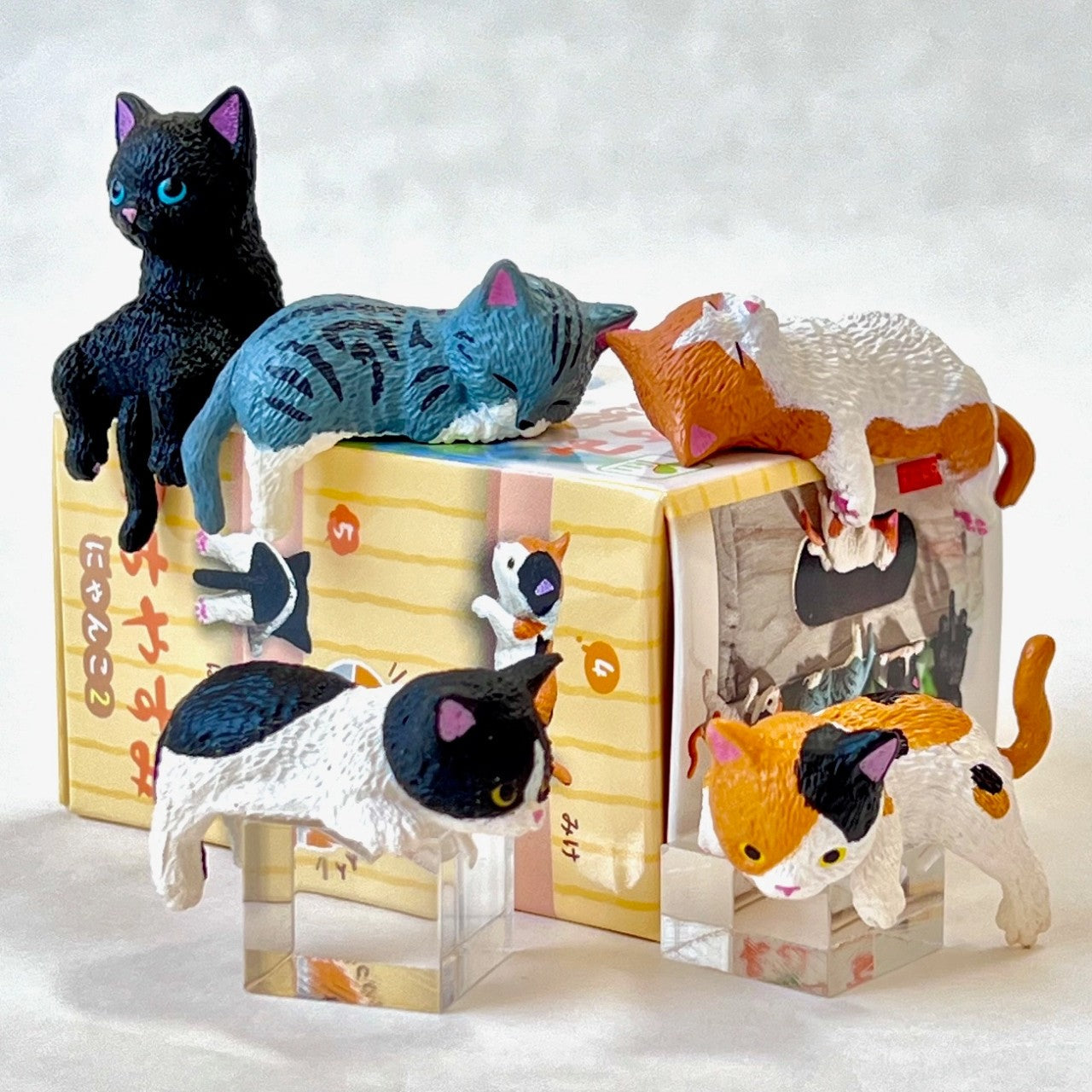Resting Cats - Blind Box Toy – Urban General Store