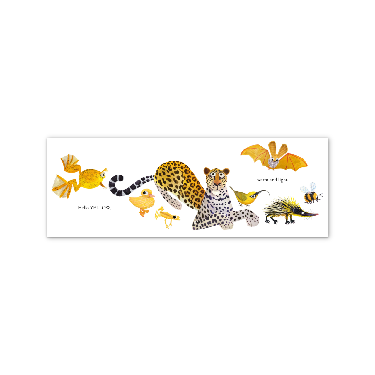 Hello Hello Colors Board Book – Urban General Store