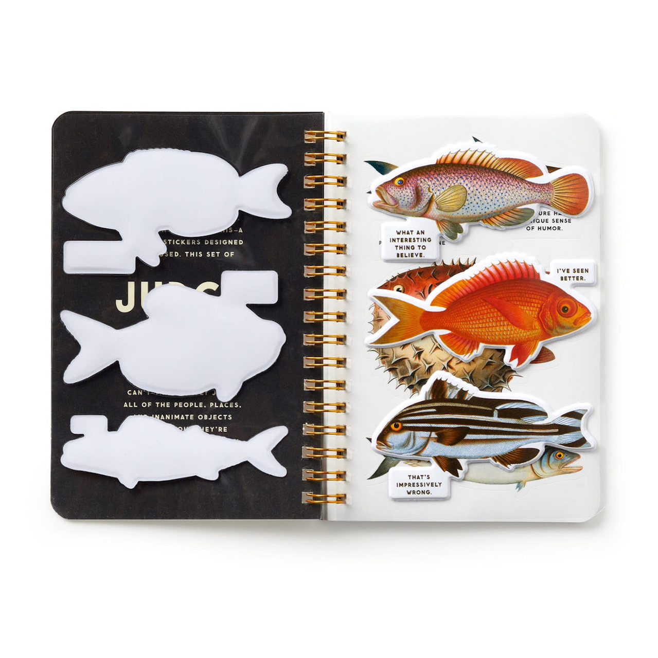 Judgy Fish Sticker Book – Urban General Store