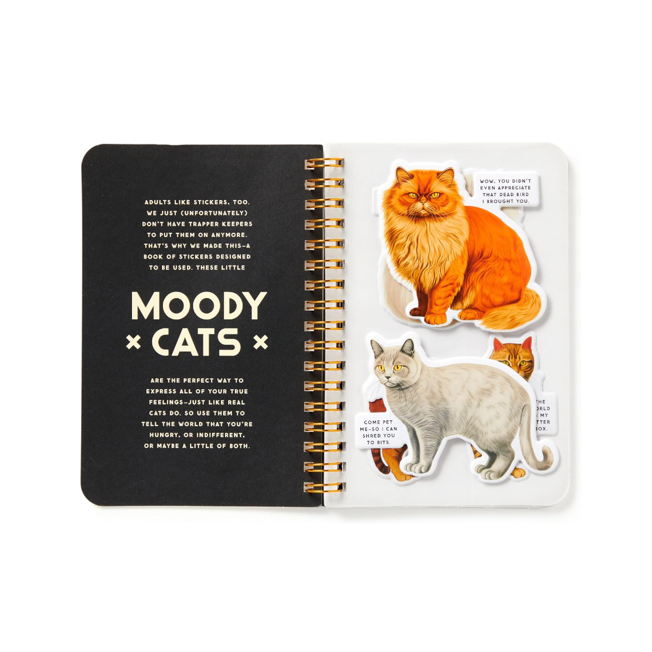 Moody Cats Sticker Book – Urban General Store