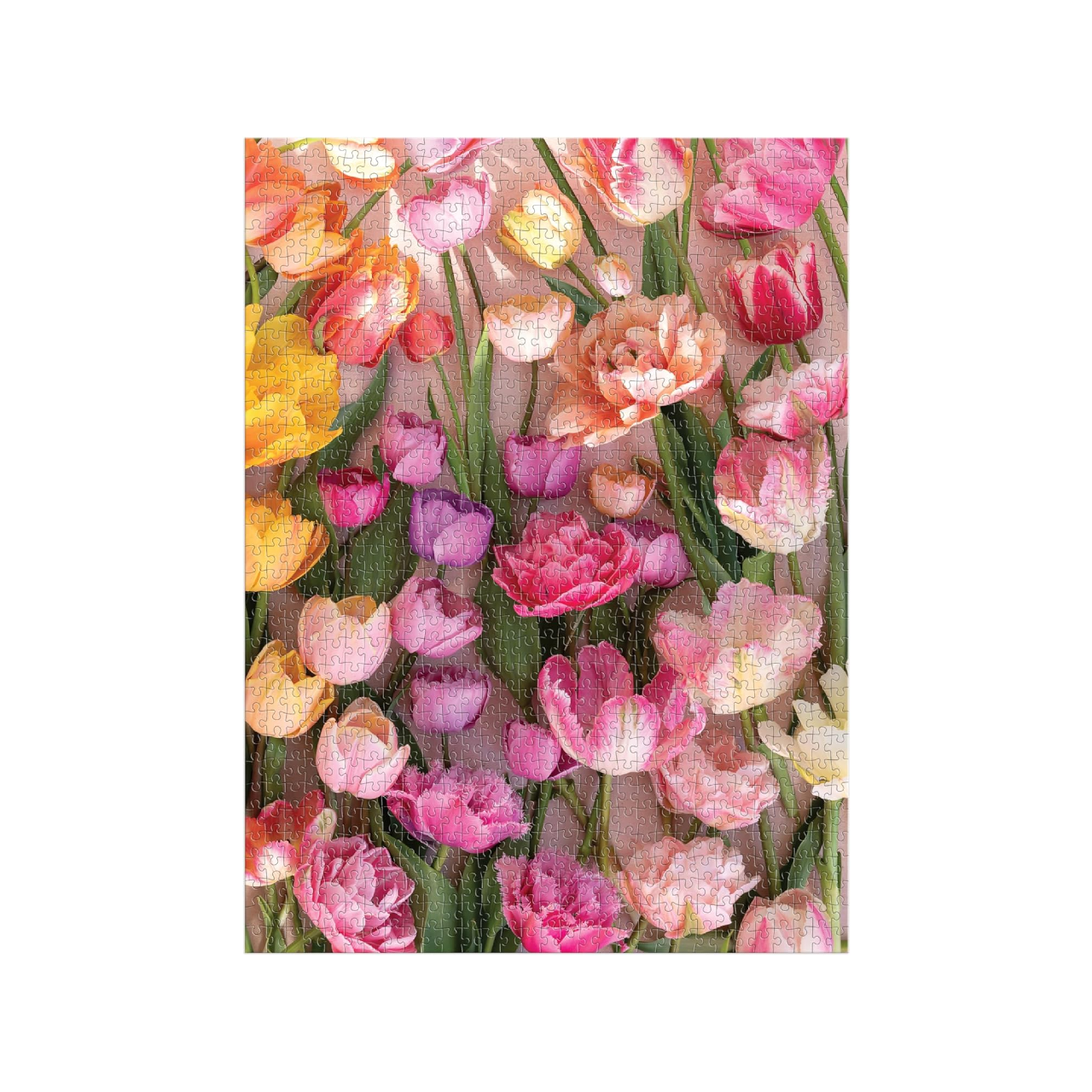 Ephemeral Tulips 1000 Piece Jigsaw Puzzle – Urban General Store