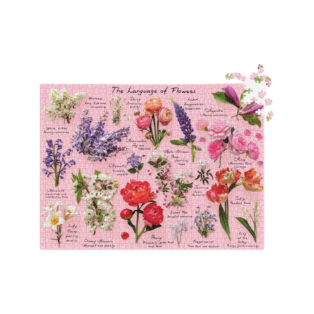 Language Of Flowers 1000 Piece Jigsaw Puzzle – Urban General Store