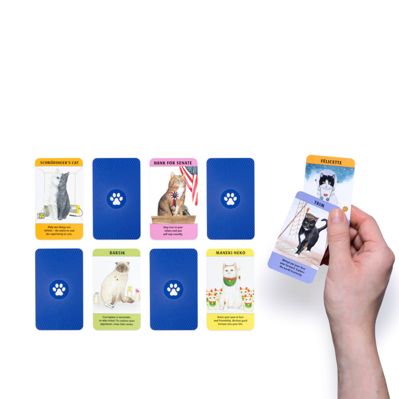 Cat Gurus Mini Self-Help Affimation Cards – Urban General Store