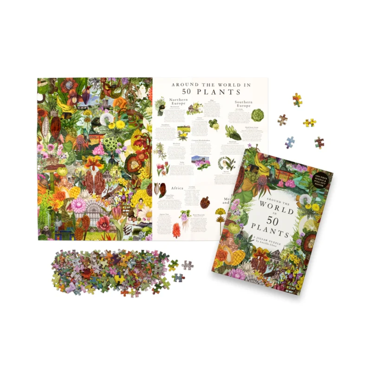 Around The World In 50 Plants 1000 Piece Jigsaw Puzzle from Chronicle ...
