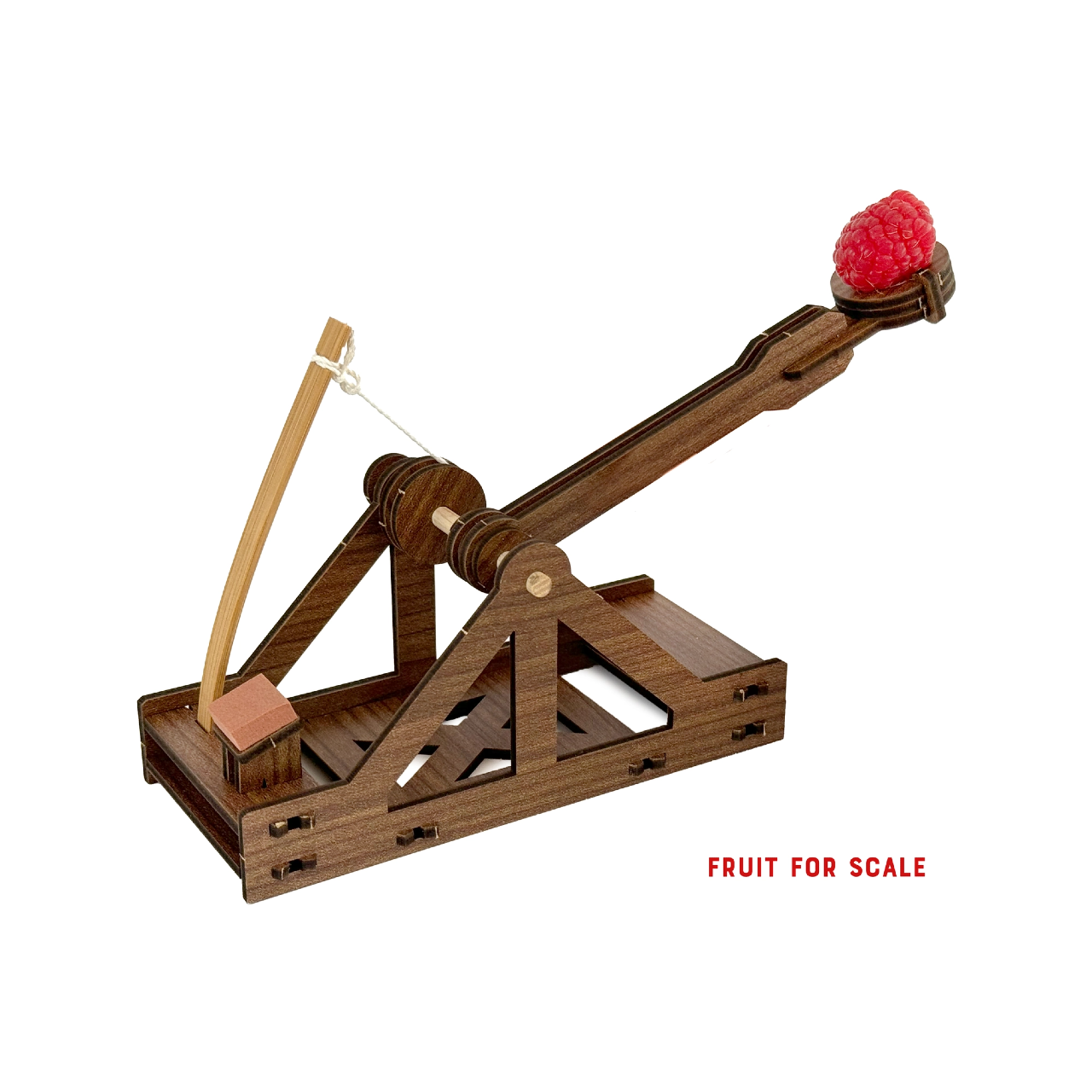 Wooden Engineering Model Building Mini Catapult Kit – Urban General Store