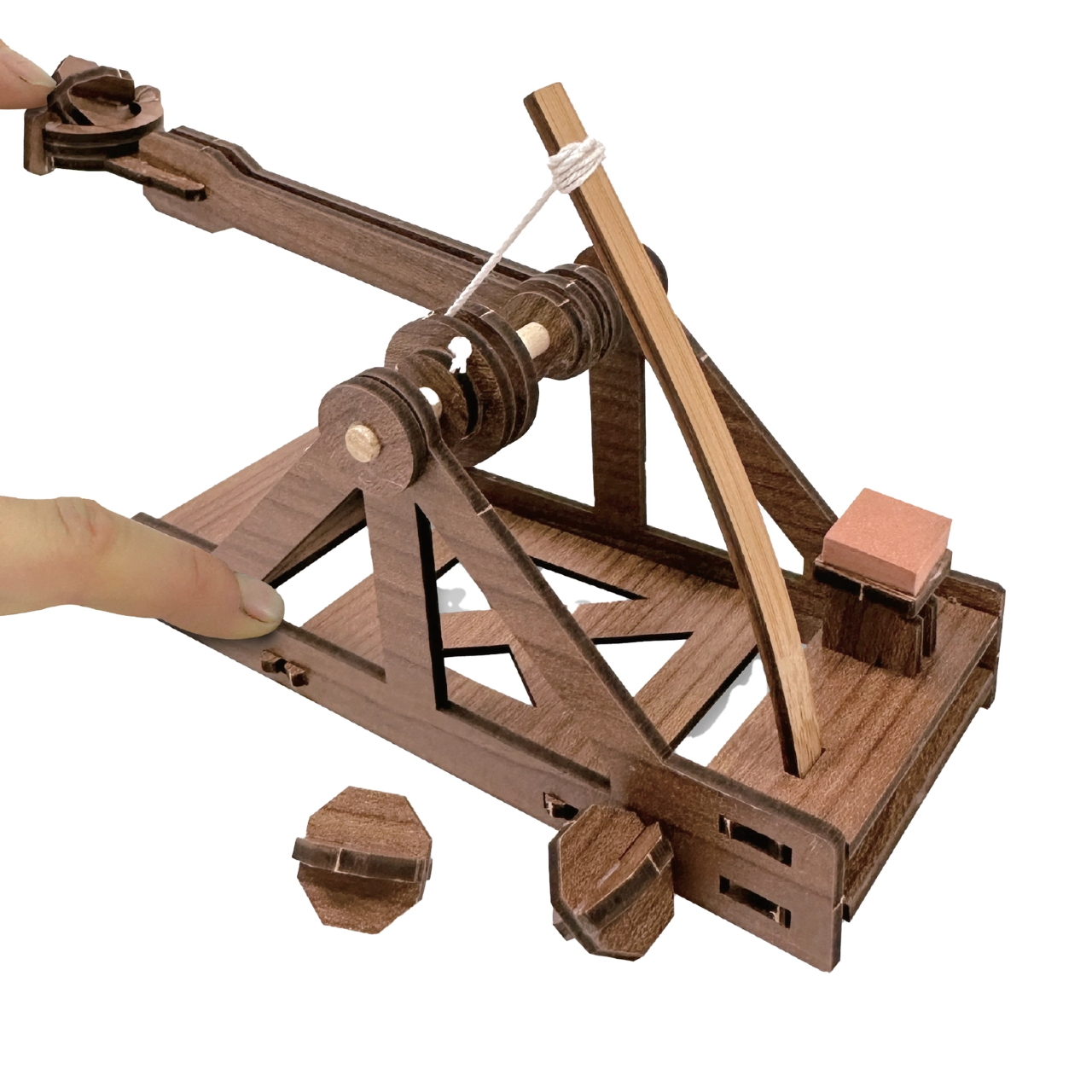Wooden Engineering Model Building Mini Catapult Kit – Urban General Store