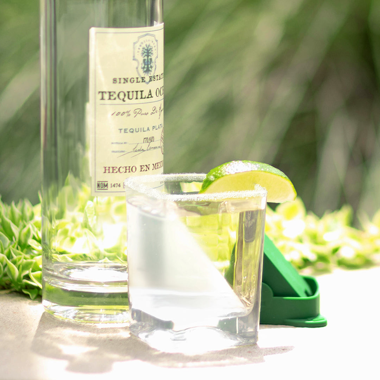 Tequila Triangle Glass and Ice Mold – Urban General Store