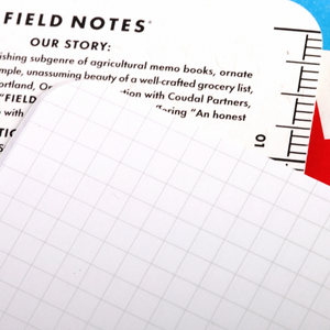 Field Notes Chicago Edition 3-Pack from Field Notes Brand – Urban ...
