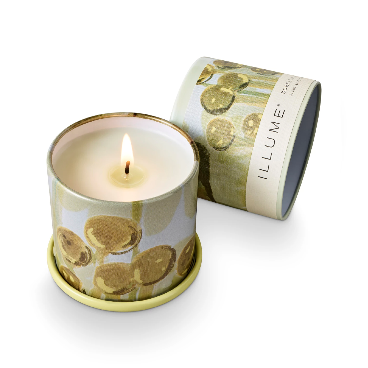 Borealis Moss Demi Tin Candle – Urban General Store