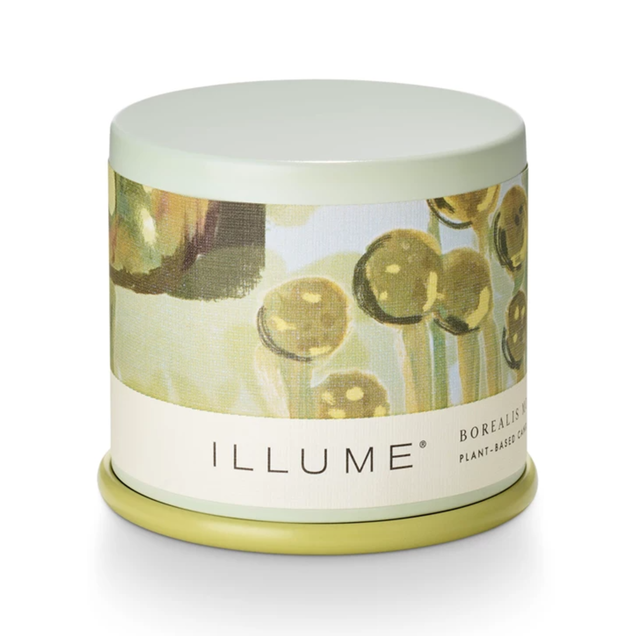 Borealis Moss Demi Tin Candle – Urban General Store