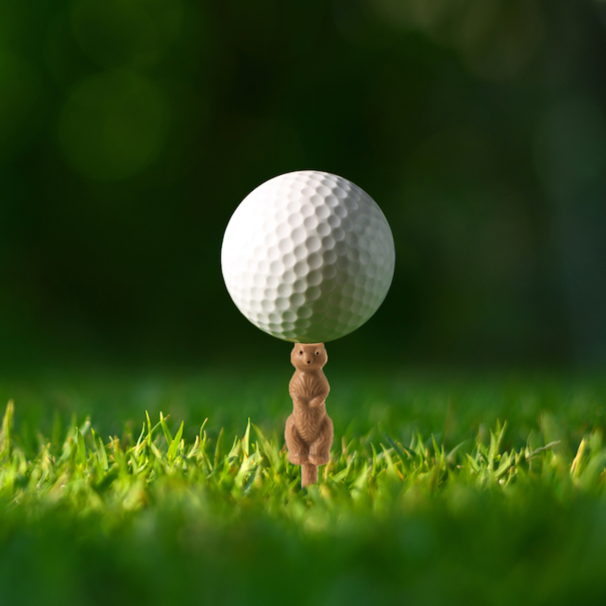 Gopher The Caddy Golf Tee – Urban General Store