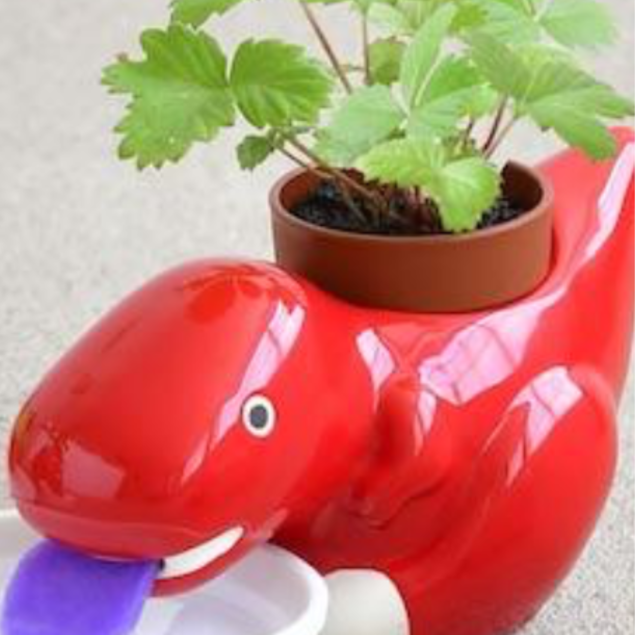 Dinosaur GreenZaurus Plant Kit - Strawberry from Noted – Urban General ...