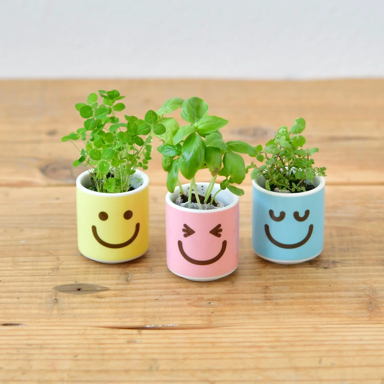 Home & Office – Page 2 – Urban General Store