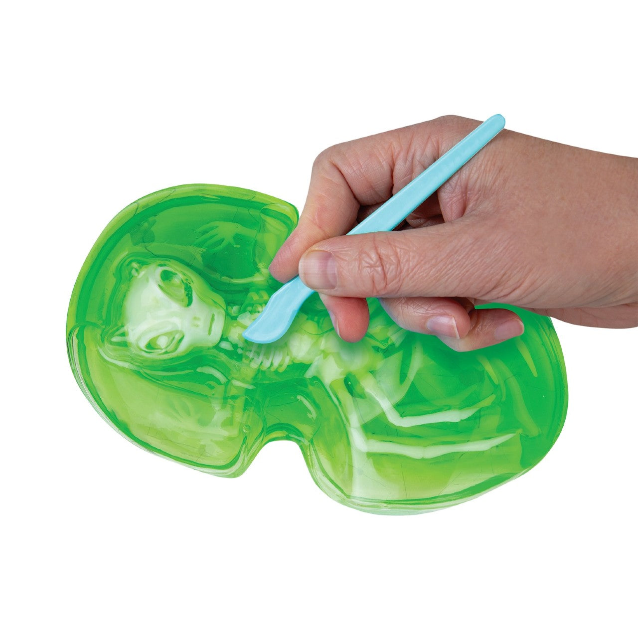 Alien Goo-natomy Lab Toy – Urban General Store