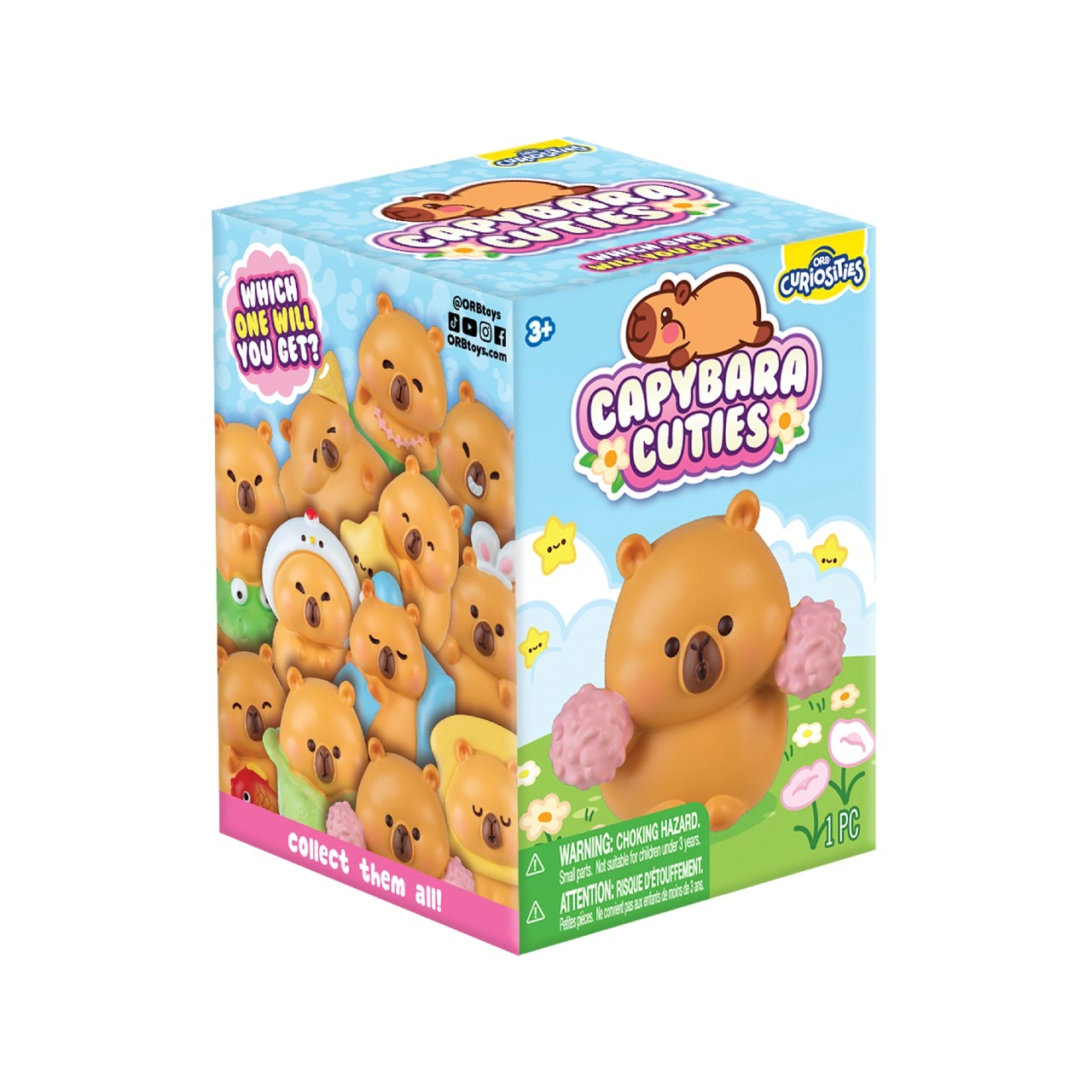 Capybara Cuties - Blind Box Toy – Urban General Store