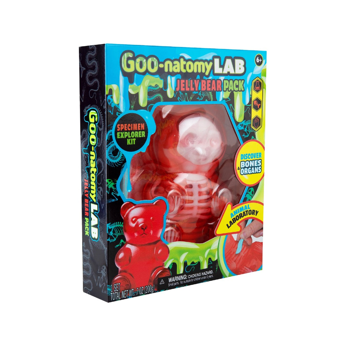 Jelly Bear Goo-natomy Toy – Urban General Store