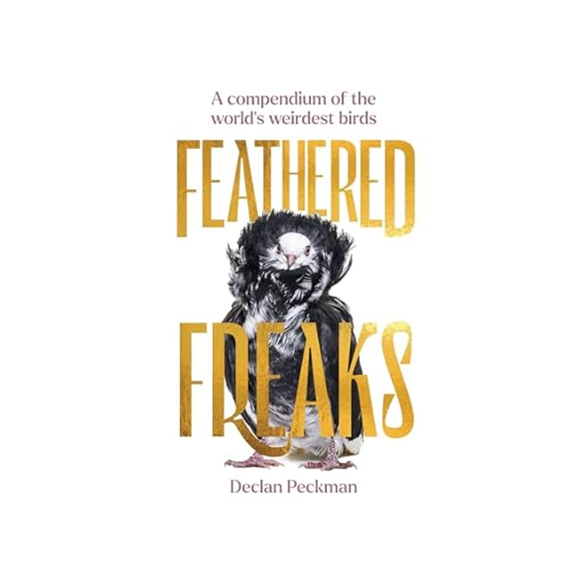 Feathered Freaks Book – Urban General Store