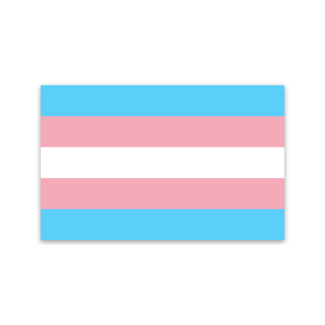 Transgender Flag Sticker – Urban General Store
