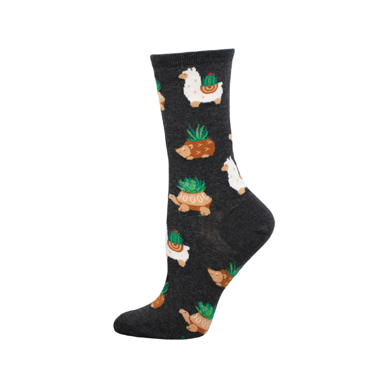 Succulent Pottery Crew Socks - Womens – Urban General Store
