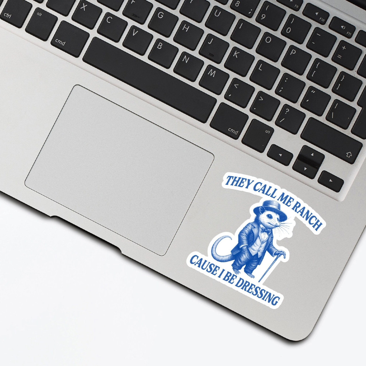 They Call Me Ranch Cause I Be Dressing Sticker – Urban General Store