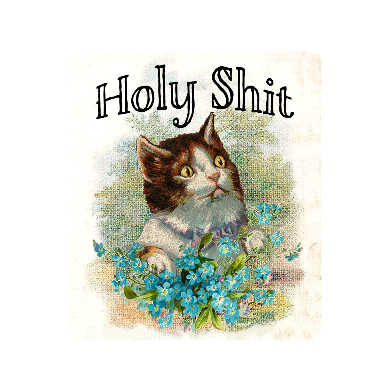 Holy Sh*t Cat Sticker – Urban General Store