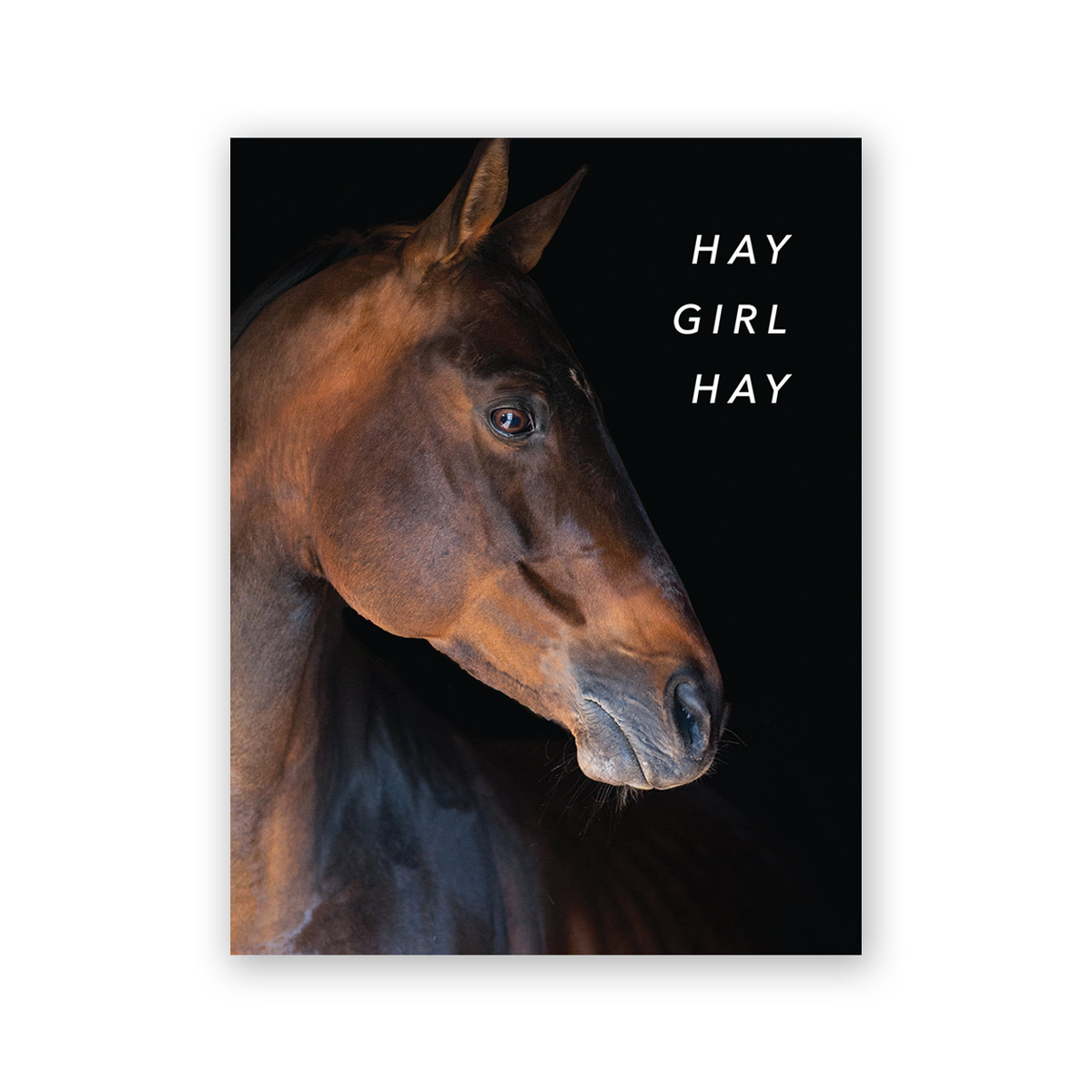 Hay Girl Hay Blank Card – Urban General Store