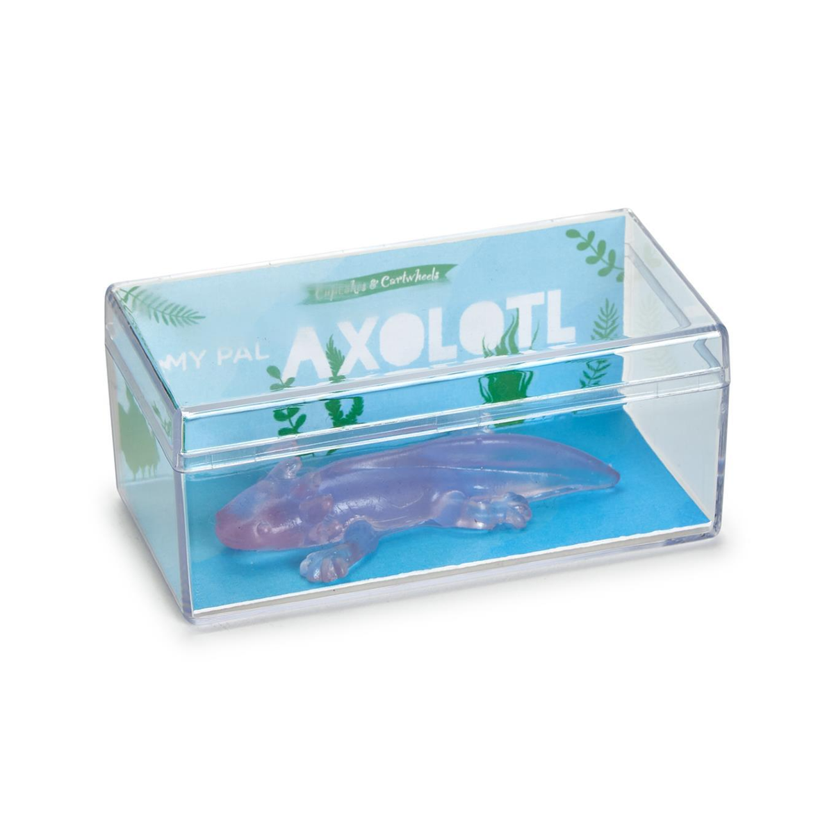 Translucent Awesome Axolotl – Urban General Store