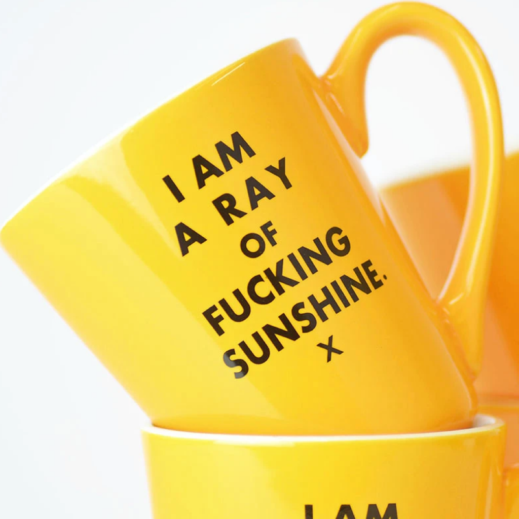 I Am A Ray Of F*cking Sunshine Ceramic Mug from Meriwether – Urban ...