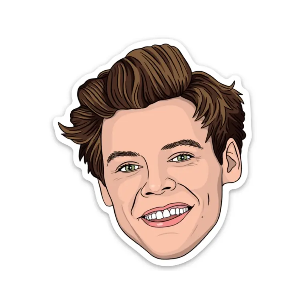 Harry Styles Die Cut Sticker from The Found – Urban General Store